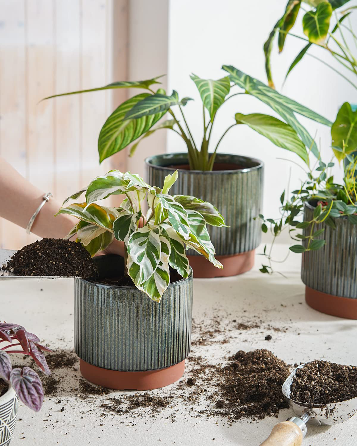 Latitude Run® Ceramic Plant Pots With Drainage Holes, Set Of 3, 8+6.7+5 ...