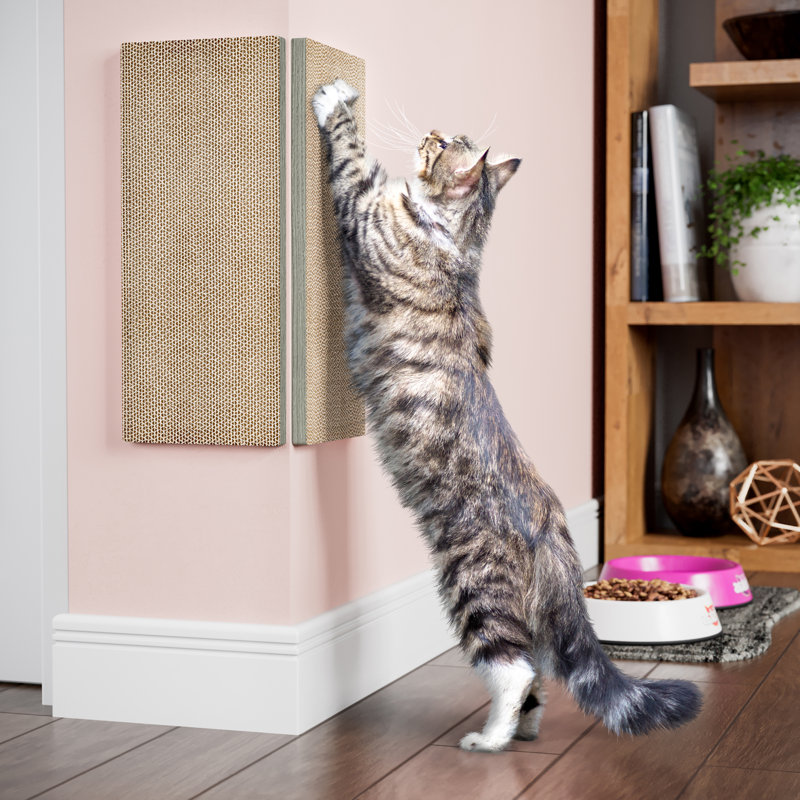 Tucker Murphy Pet™ Calisha Scratching Post & Reviews | Wayfair