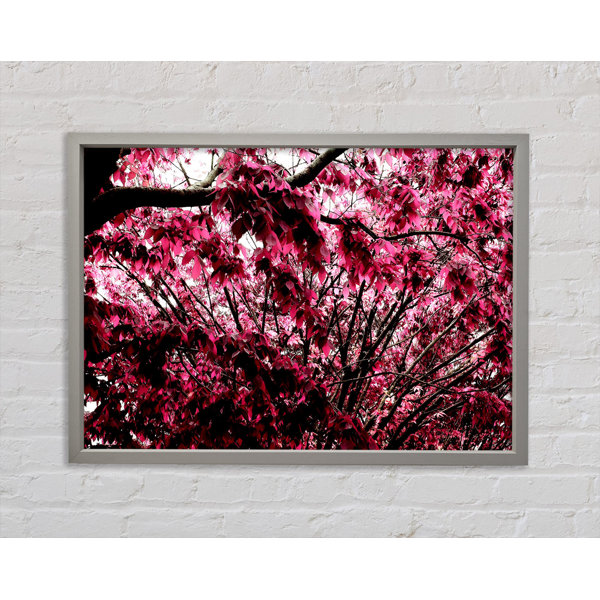 Bright Star Pink Tree - Print | Wayfair.co.uk