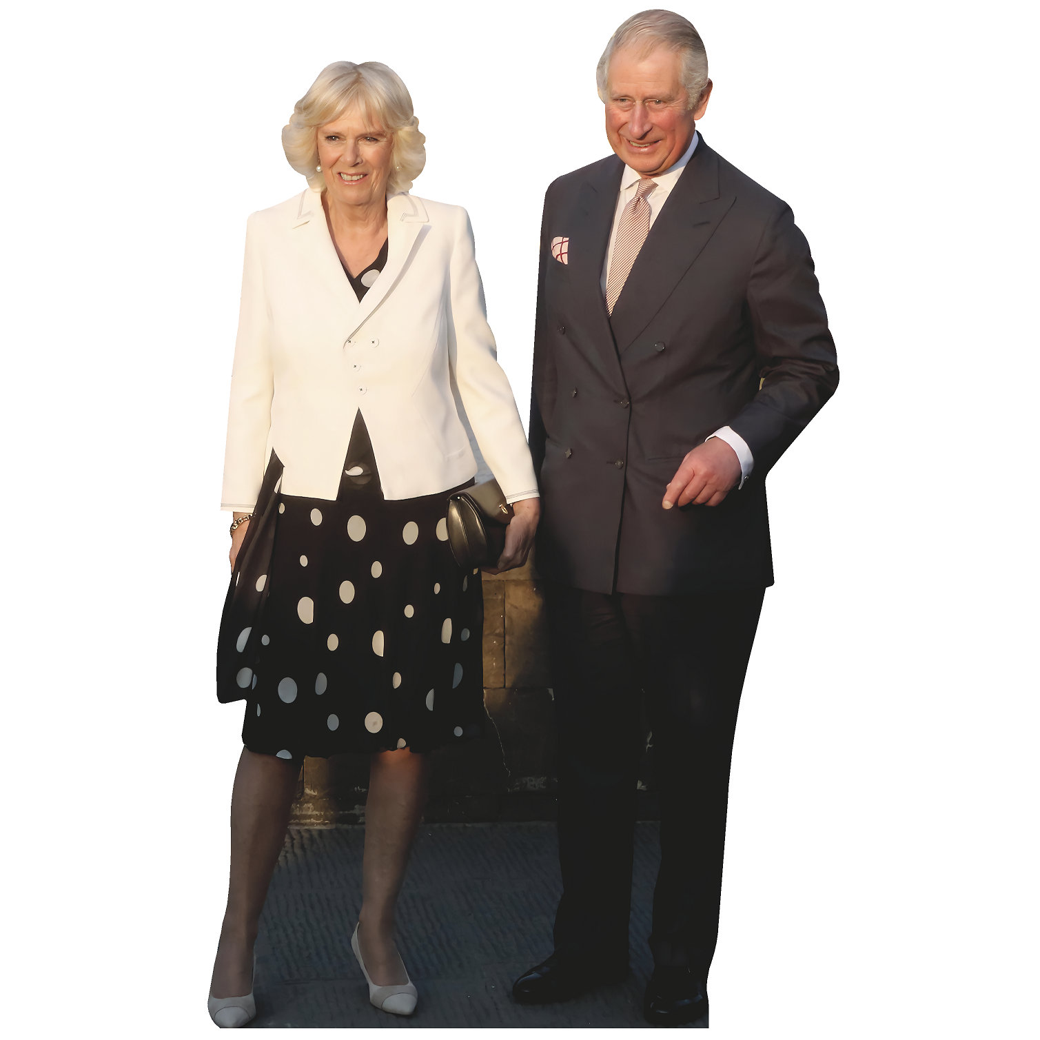 Wet Paint Printing Prince King Charles And Camilla Queen Consort ...