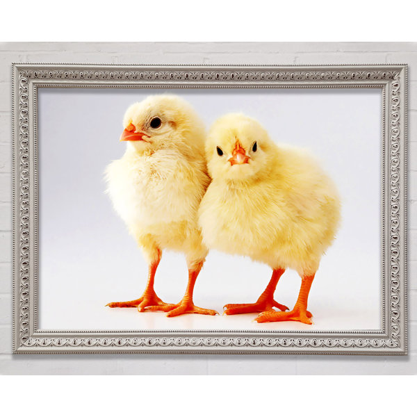 Bright Star Two Little Chicks - Single Picture Frame Print | Wayfair.co.uk
