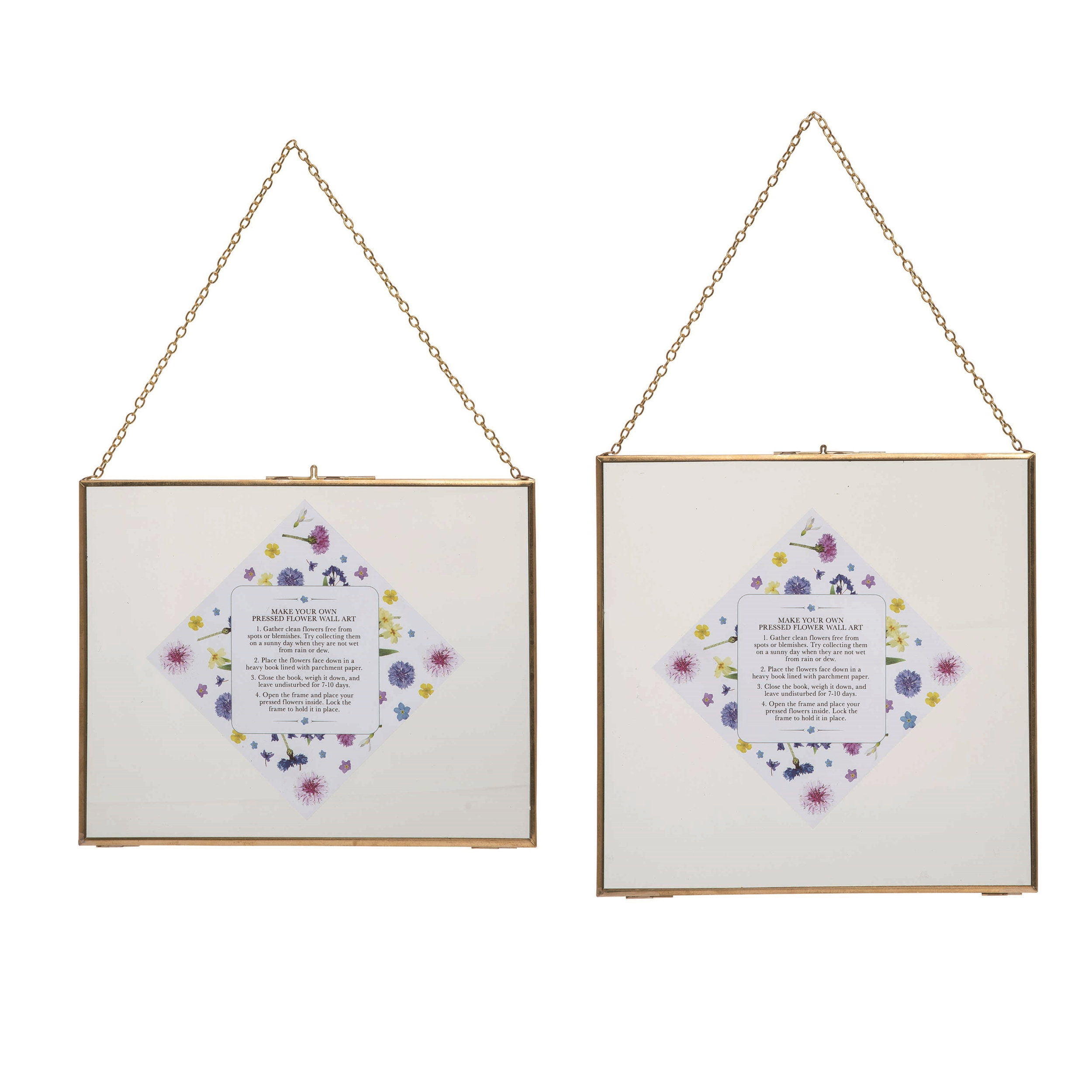 Winston Porter Glass 9.88 in. Spring DIY Pressed Flowers Frame Set of 2 ...