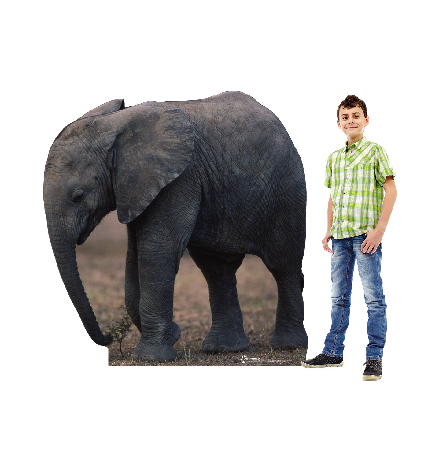 Advanced Graphics Animals Elephant Life-Size Cardboard Stand-Up | Wayfair