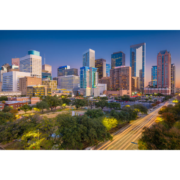 Hokku Designs Emerik Houston, Texas On Canvas Photograph | Wayfair