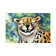 Latitude Vive Grinning Cheetah by Kim Winberry - Wrapped Canvas ...