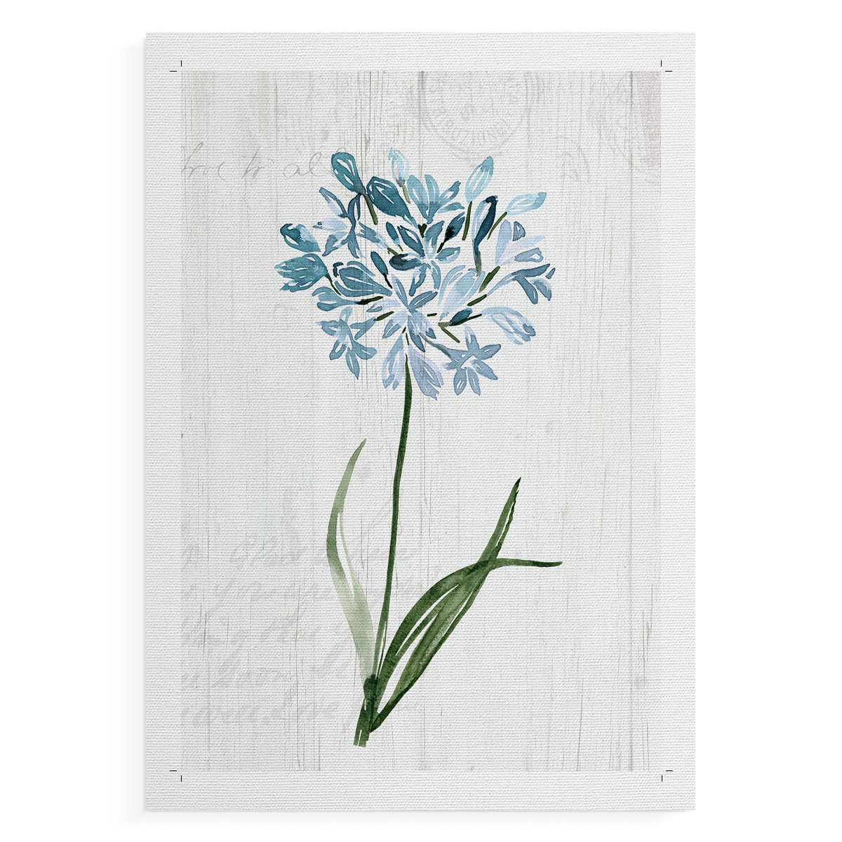 Ophelia & Co. Garden Botanical I -Canvas Print Only - NOT FRAMED | Wayfair