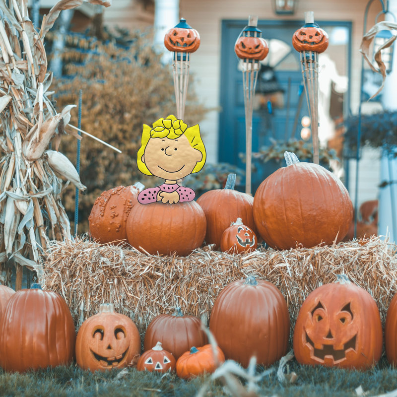 The Holiday Aisle® Peanuts Sally Pumpkin Garden Stake | Wayfair