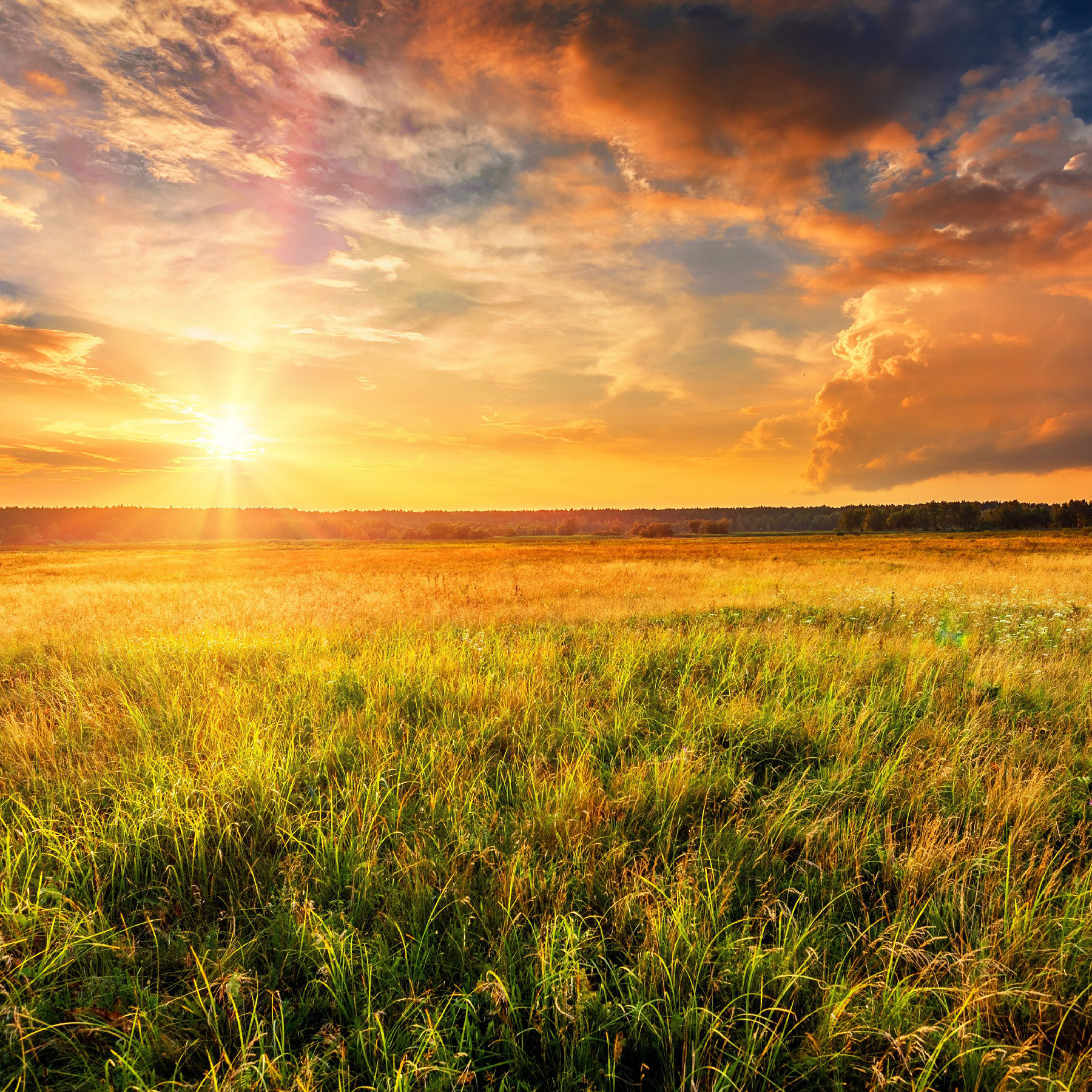 Ebern Designs Sunset Landscape by Derkien - Wrapped Canvas Photograph ...