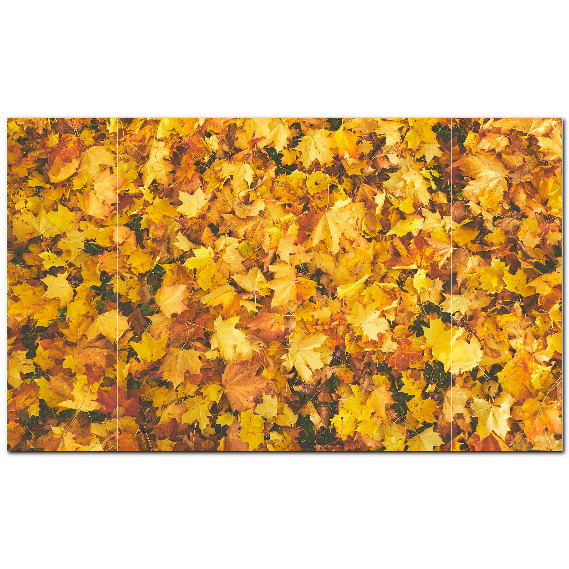 Picture-Tiles.com Autumn Photo 12'' x 12'' Satin Ceramic Decorative ...