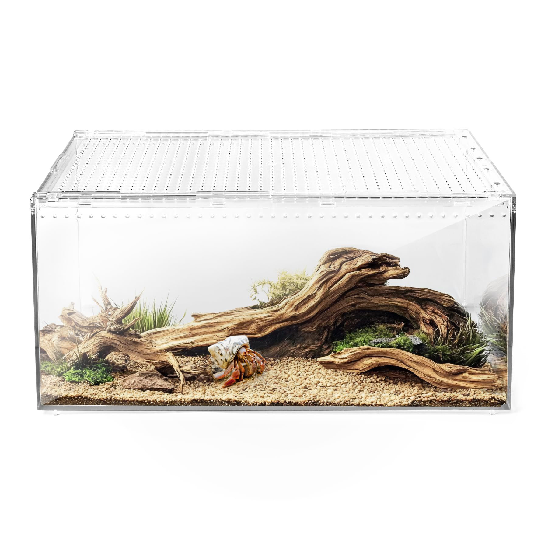 VIKICHER Reptile Terrarium Tank,Versatile Enclosure For Leopard Crested ...