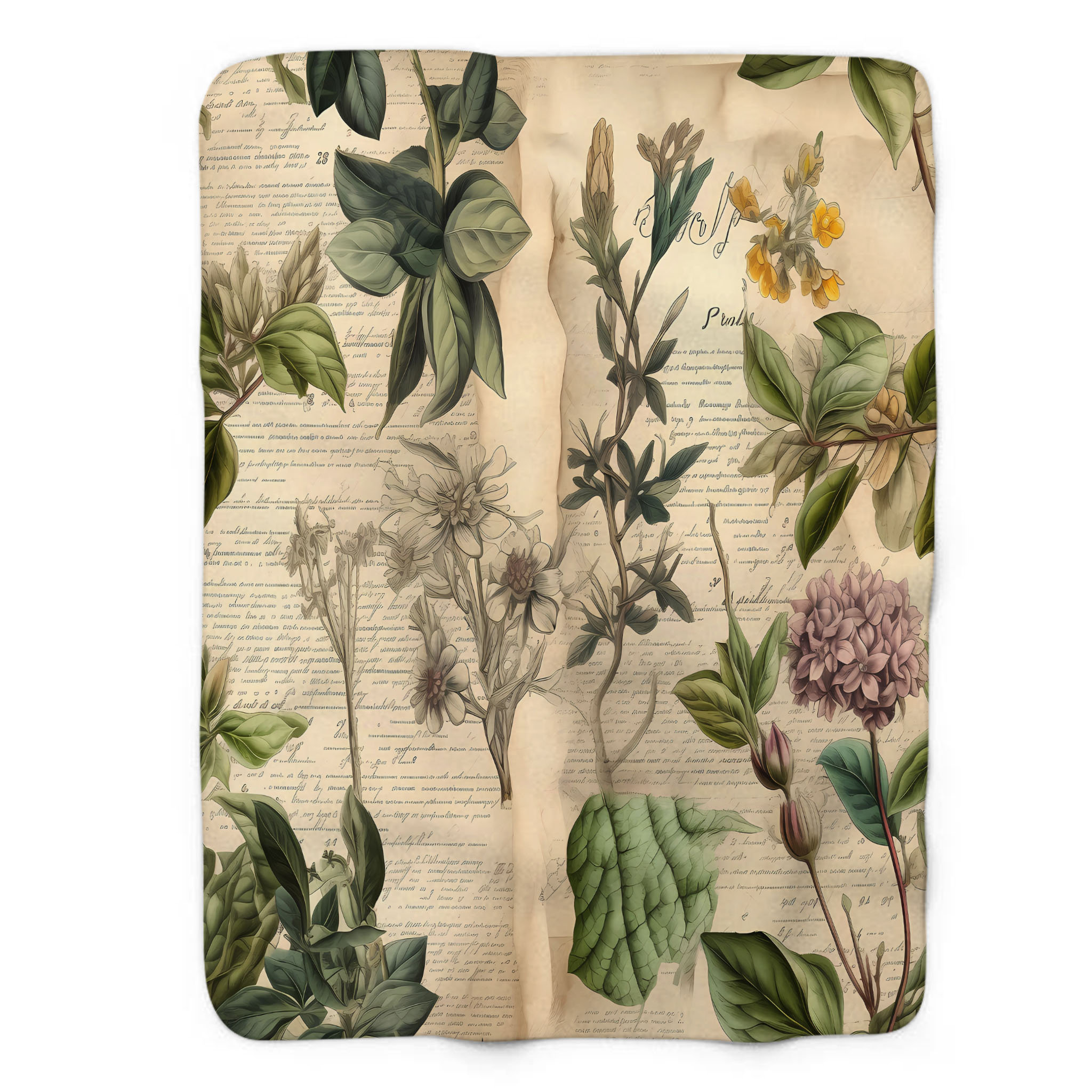 MentionedYou Petal and Parchment - 1 Piece Premium Sherpa Blank Throw ...