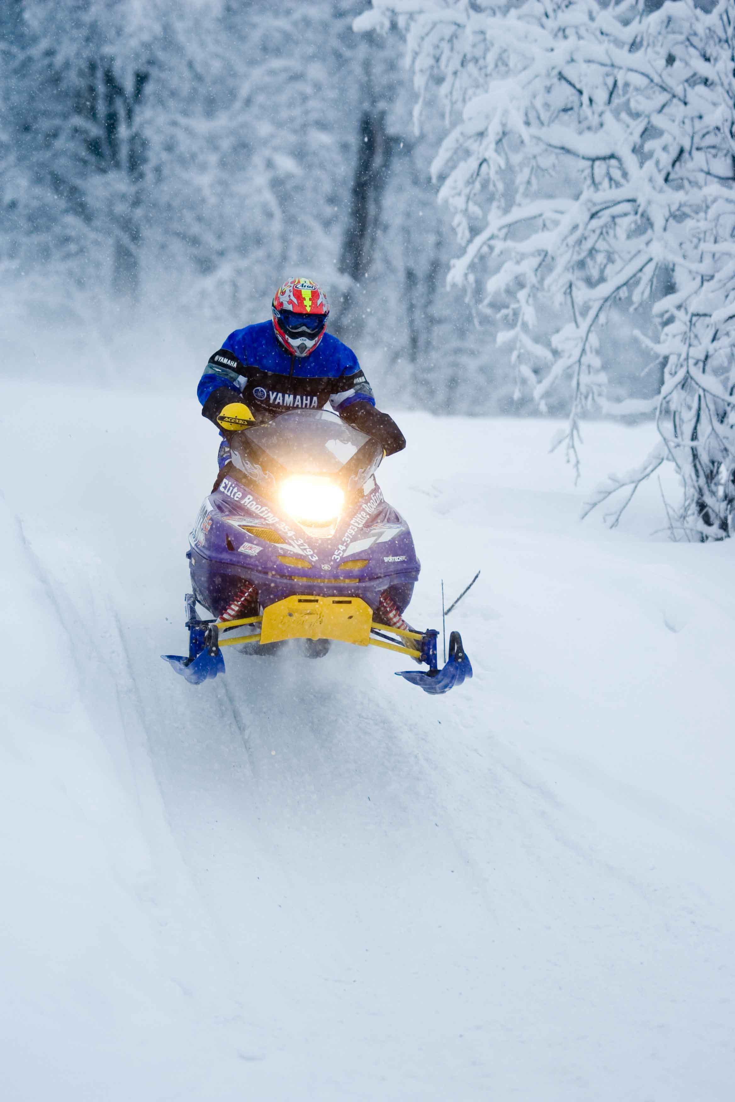 Ebern Designs Arctic II Wall Decal | Wayfair