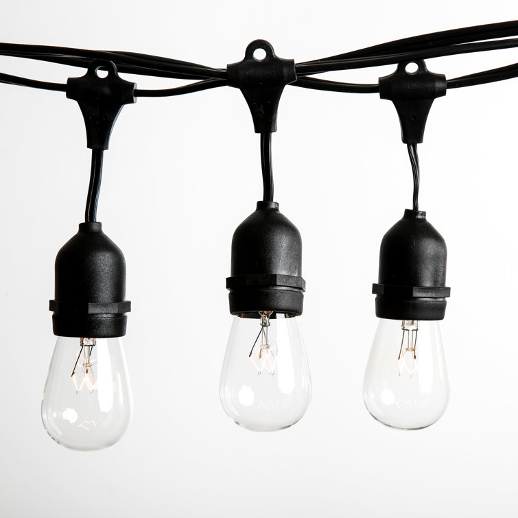 HometownEvolutionInc Outdoor 25 - Bulb 50'' Plug-in String Light ...
