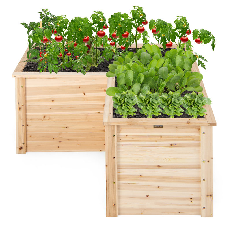 Costway 4 ft x 4 ft Wood Raised Garden Bed & Reviews | Wayfair