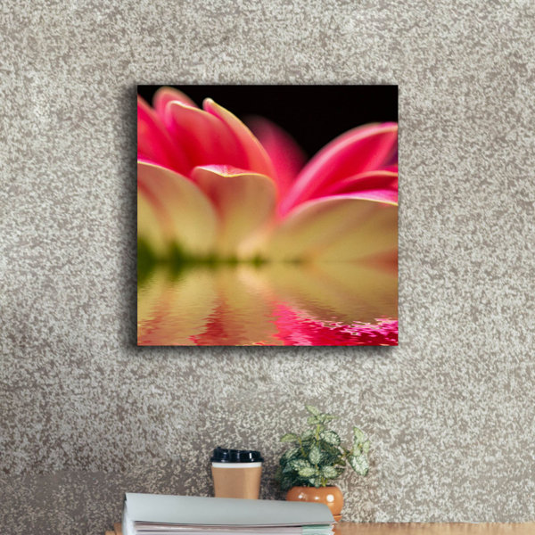 Latitude Run® Gerbera Daisy Reflection On Canvas by Pamela Plummer ...