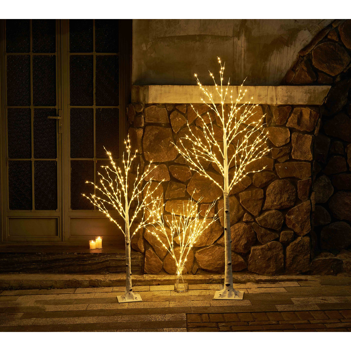 The Holiday Aisle® Lighted Birch Tree 200l 4ft | Joss & Main