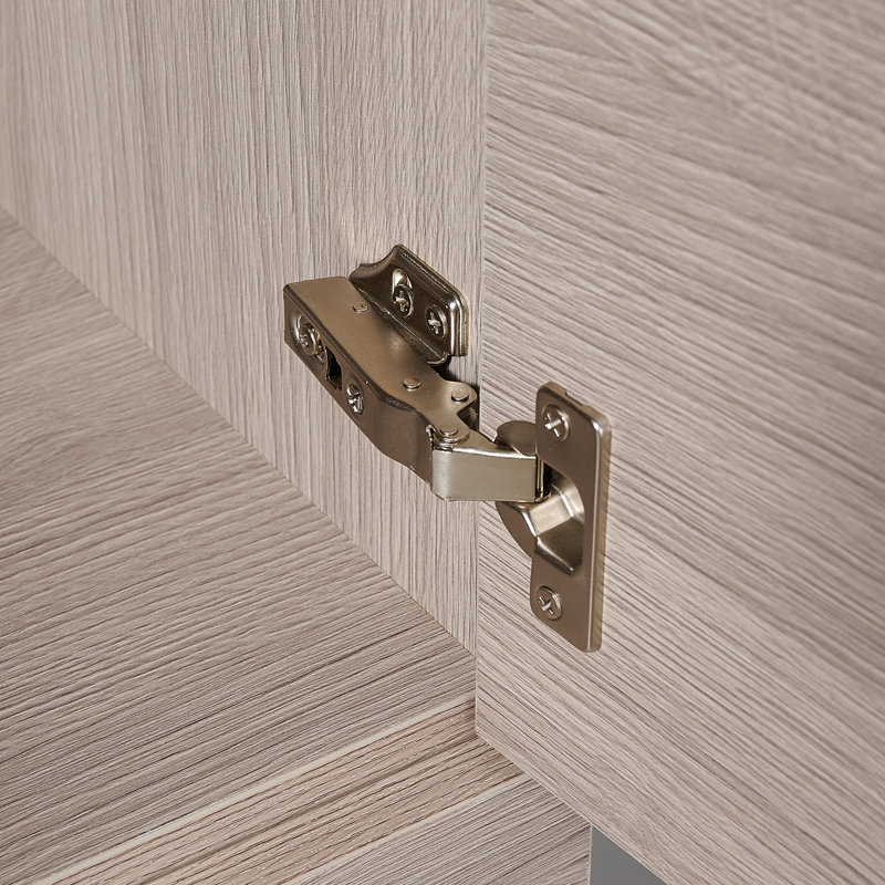 Ebern Designs Senuka 30" Danube Oak Farmhouse Free-standing 2-Doors & 1 ...