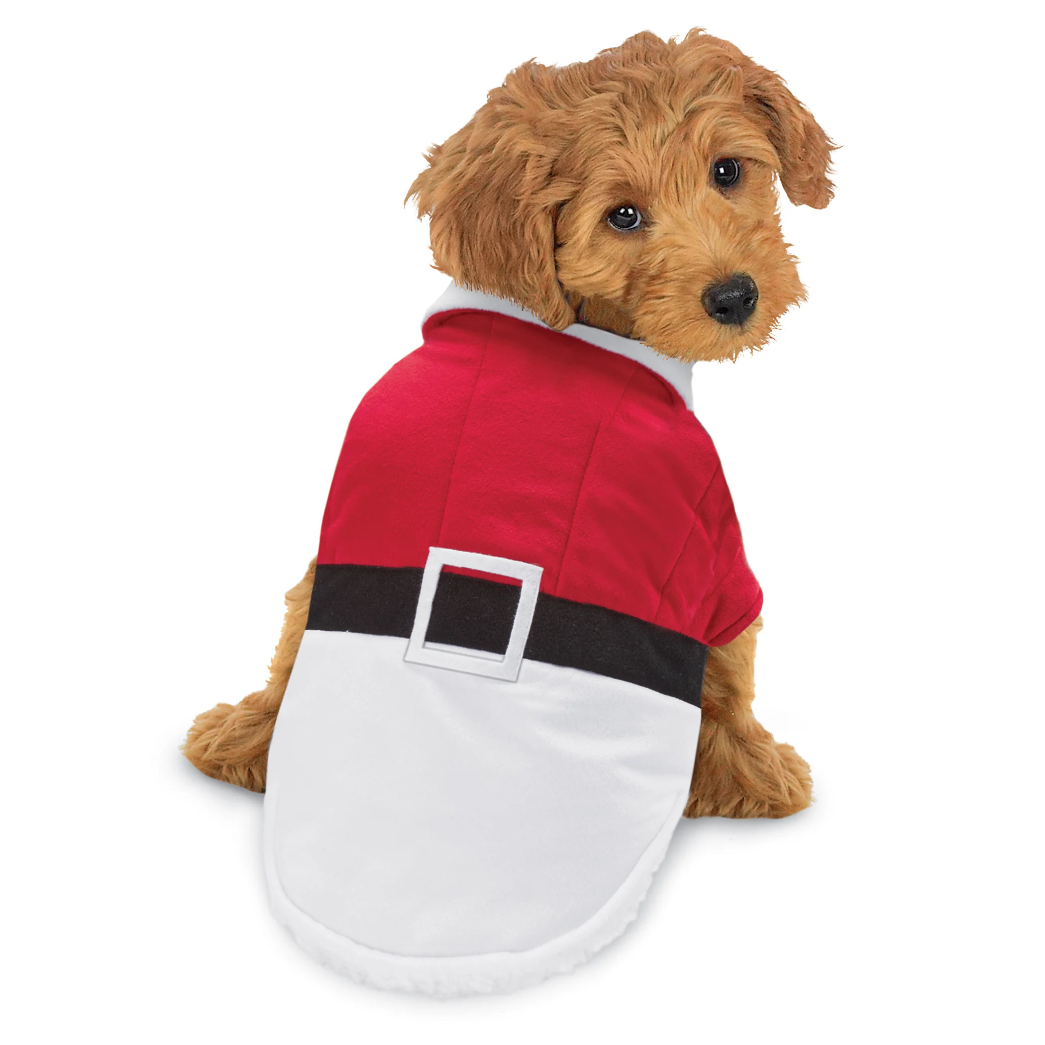 Archie & Oscar™ Santa Sherpa Lining Plush Collar Dog Jacket | Wayfair