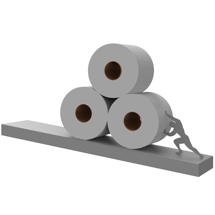 Brayden Studio Ashyr Wall Mounted Toilet Paper Holder | Wayfair.co.uk