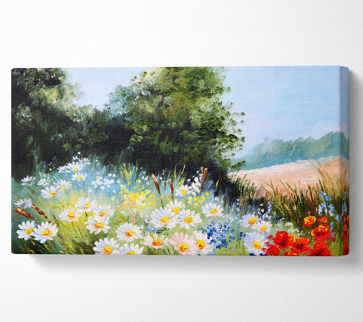 Ophelia & Co. Aldery Daisy Days - Print | Wayfair.co.uk