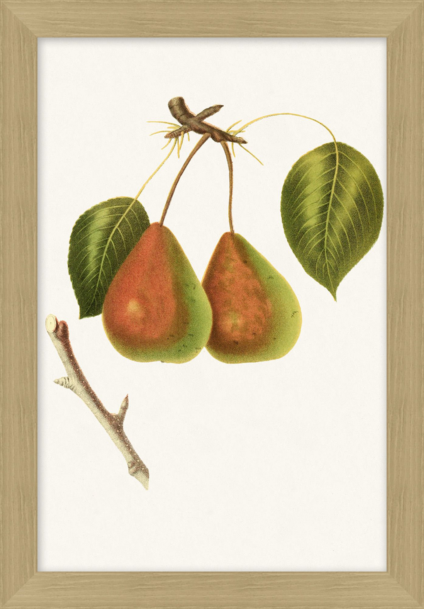 Wendover Art Group Fruit Harvest 5 | Wayfair