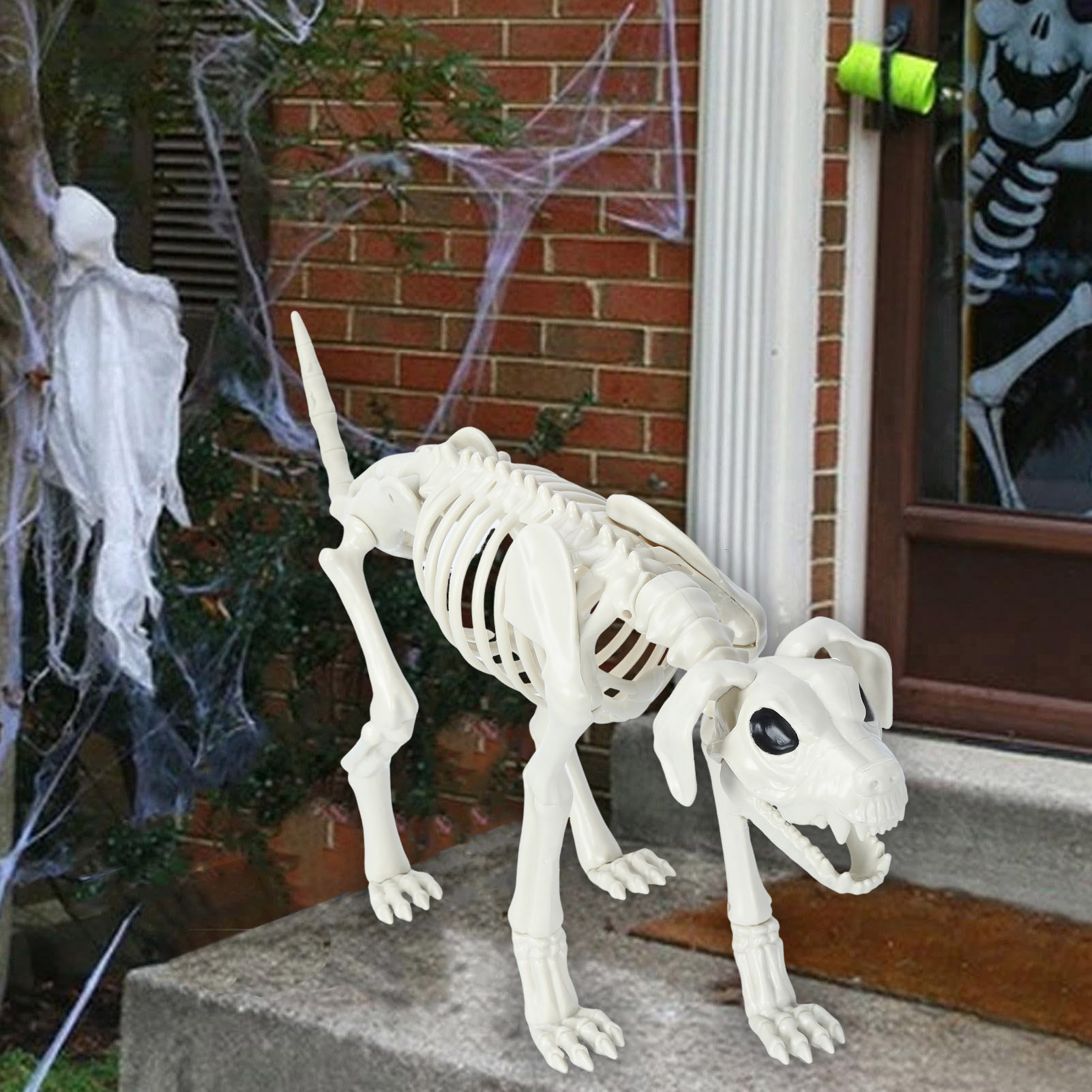 The Holiday Aisle® Halloween Skeleton Dog Realistic Animal Plastic ...