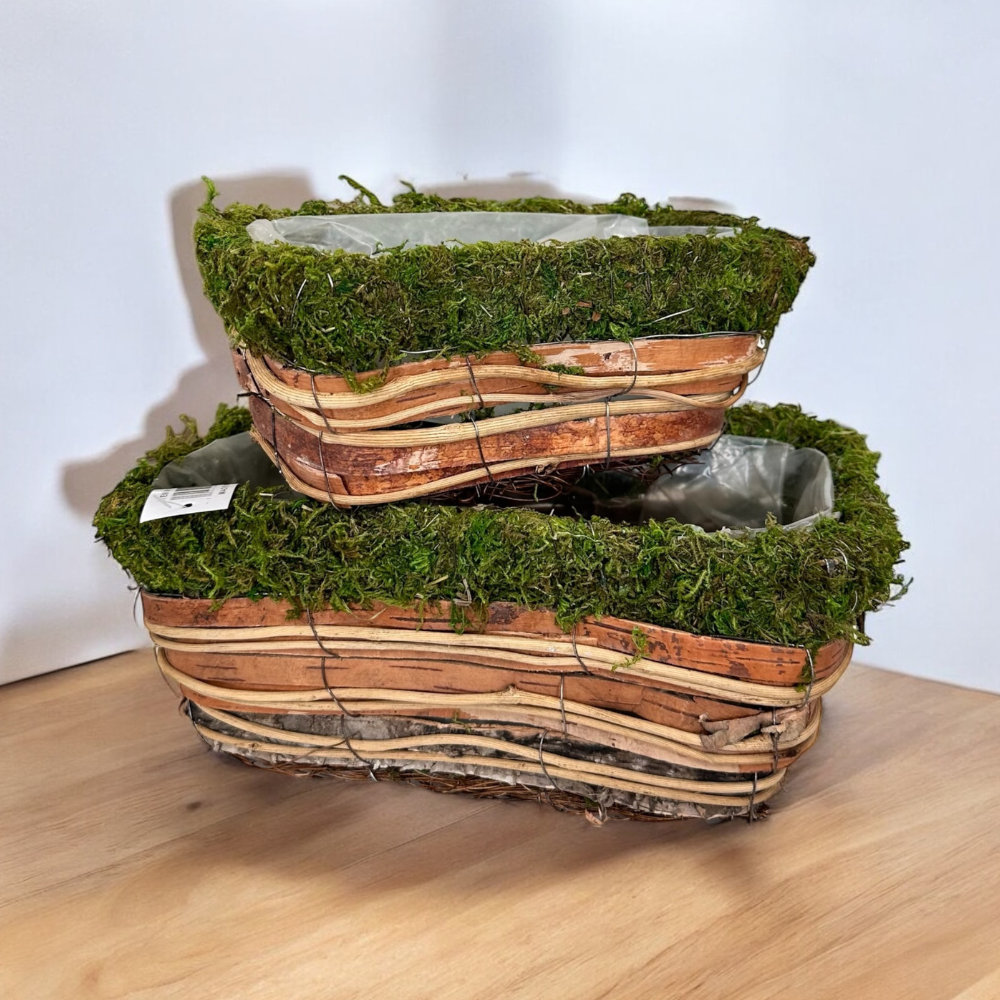Gracie Oaks Rustic Bark And Moss Planter Set - Decorative Rectangular ...