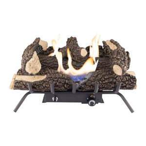 Gas Fireplace Inserts & Logs | Wayfair