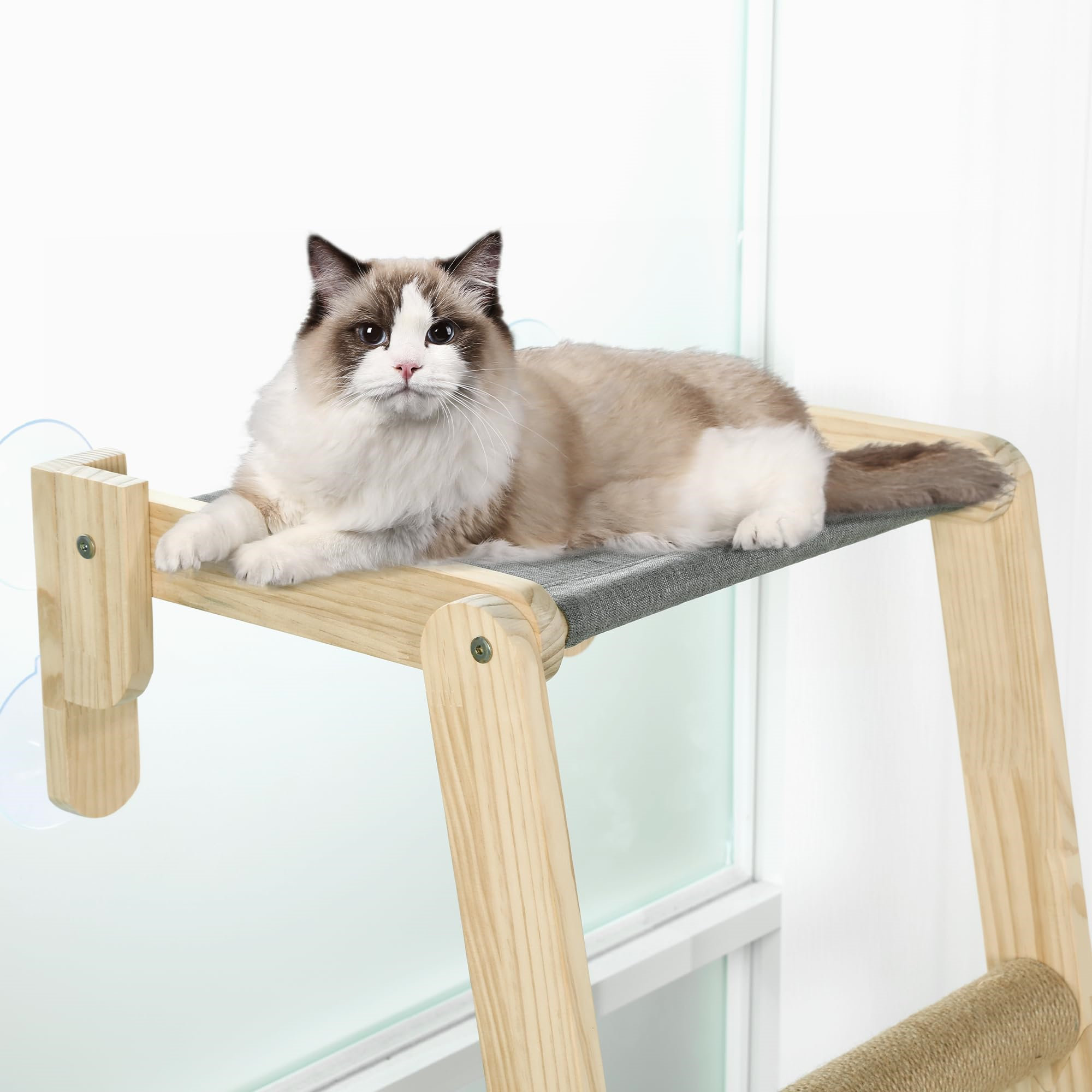 Archie & Oscar™ Cat Window Perch With Climbing Steps | Wayfair