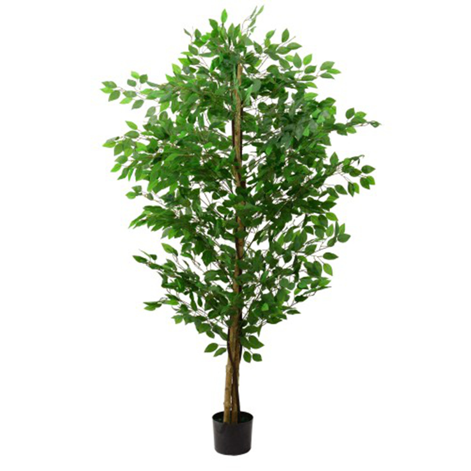 Primrue 6ft Ficus Tree Artificial, Realistic Texture Potted Faux Ficus ...