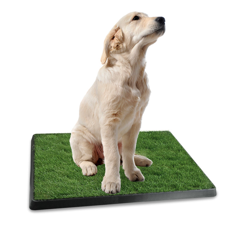 iMounTEK Training Artificial Grass Dog Potty Training Mat & Reviews ...