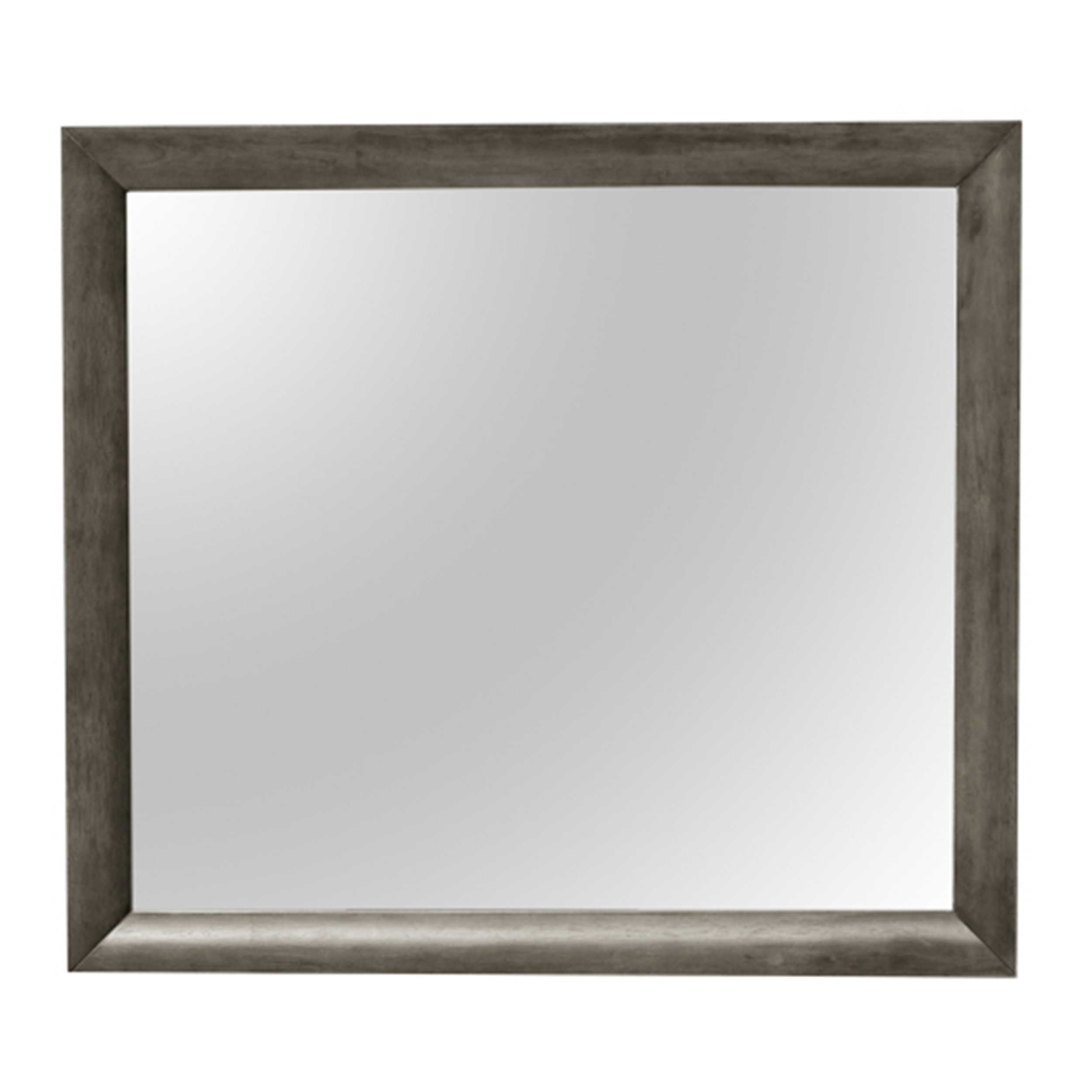 Gracie Oaks Contemporary Gray Wall Mirror - LaVita Oak | Wayfair