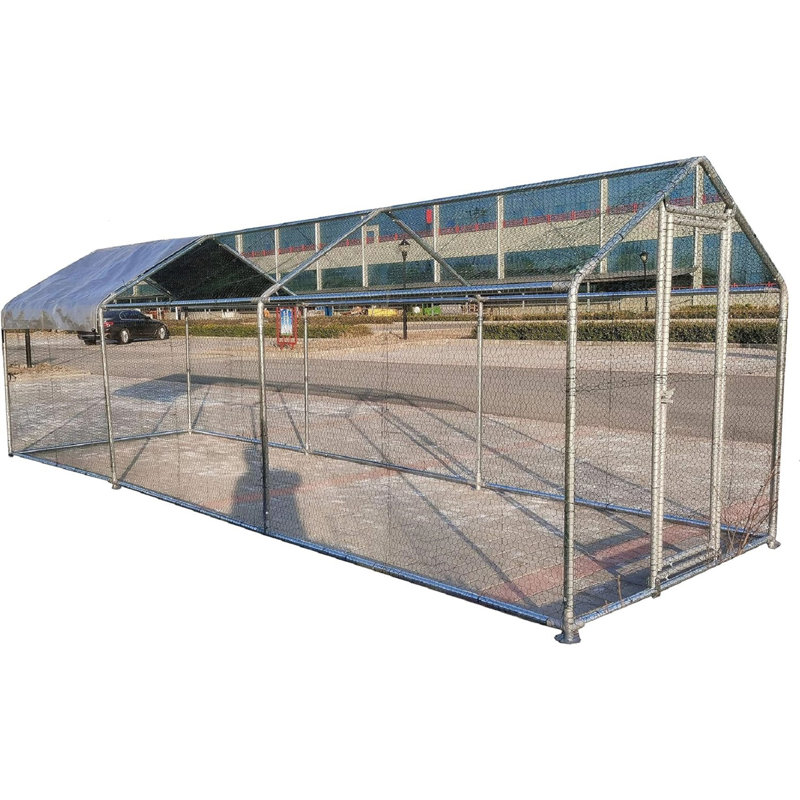 Tucker Murphy Pet™ Elshad 140 Square Feet Chicken Run | Wayfair