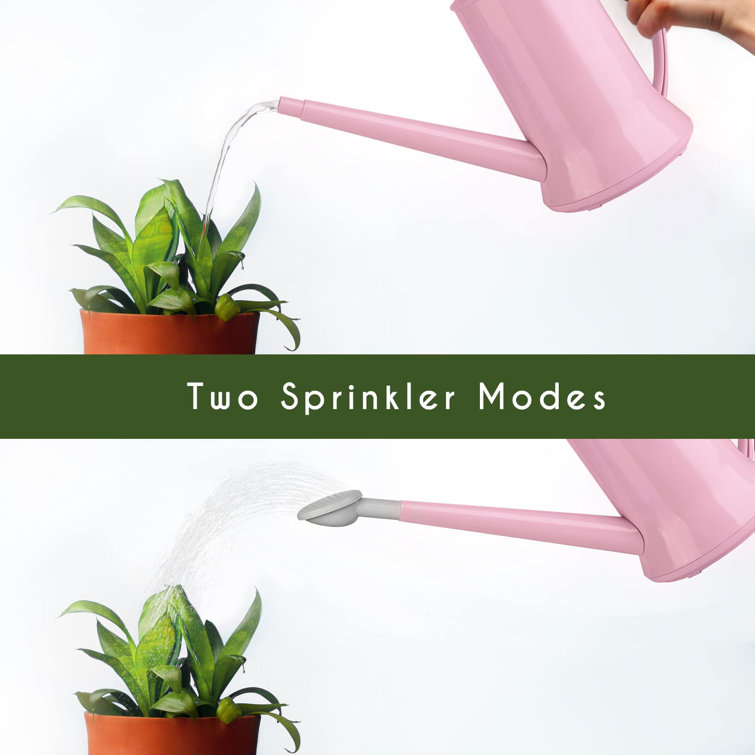 ColorLife Watering Can - Wayfair Canada