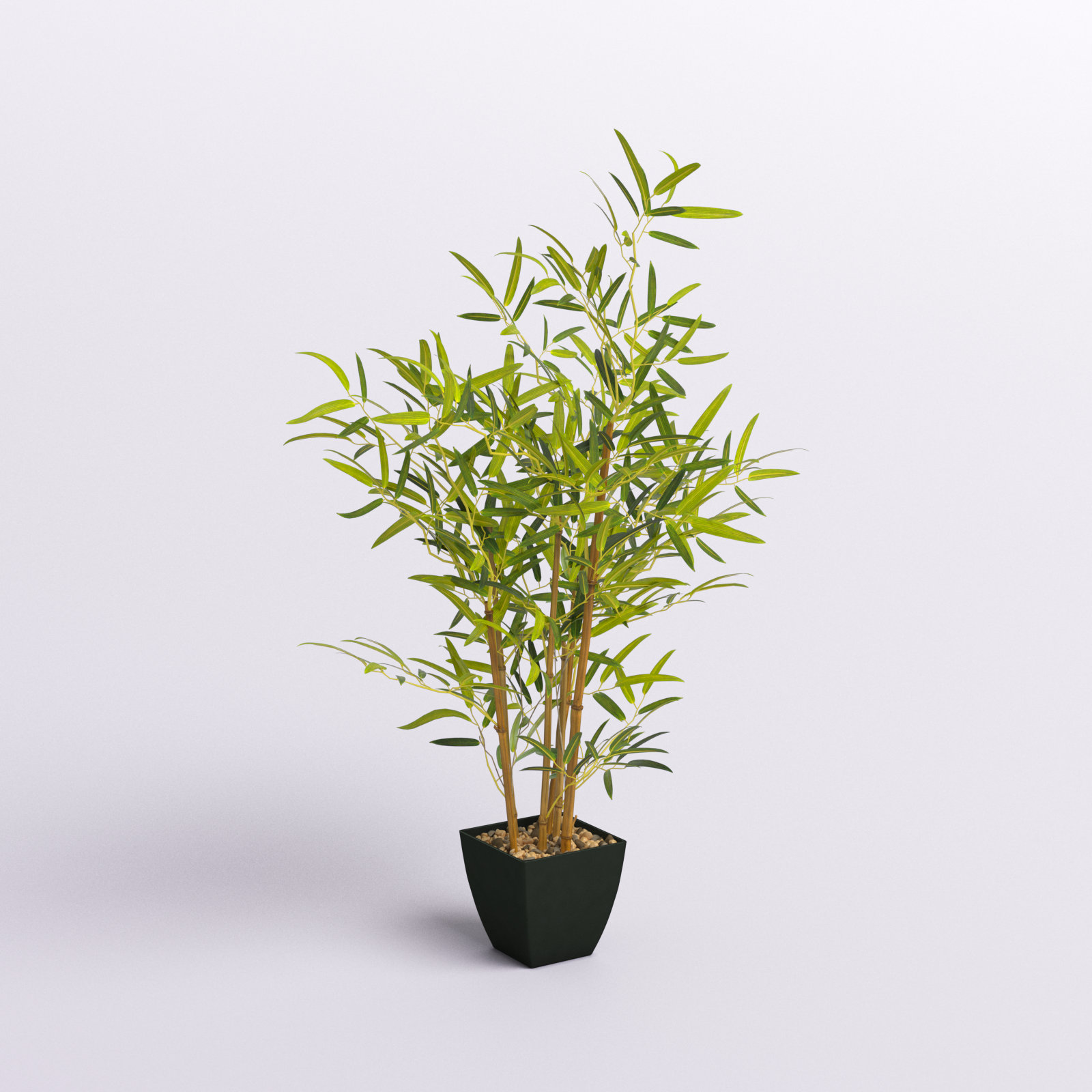 Freeport Park® Bamboo Tree In Container (32X32x36"H) & Reviews | Wayfair