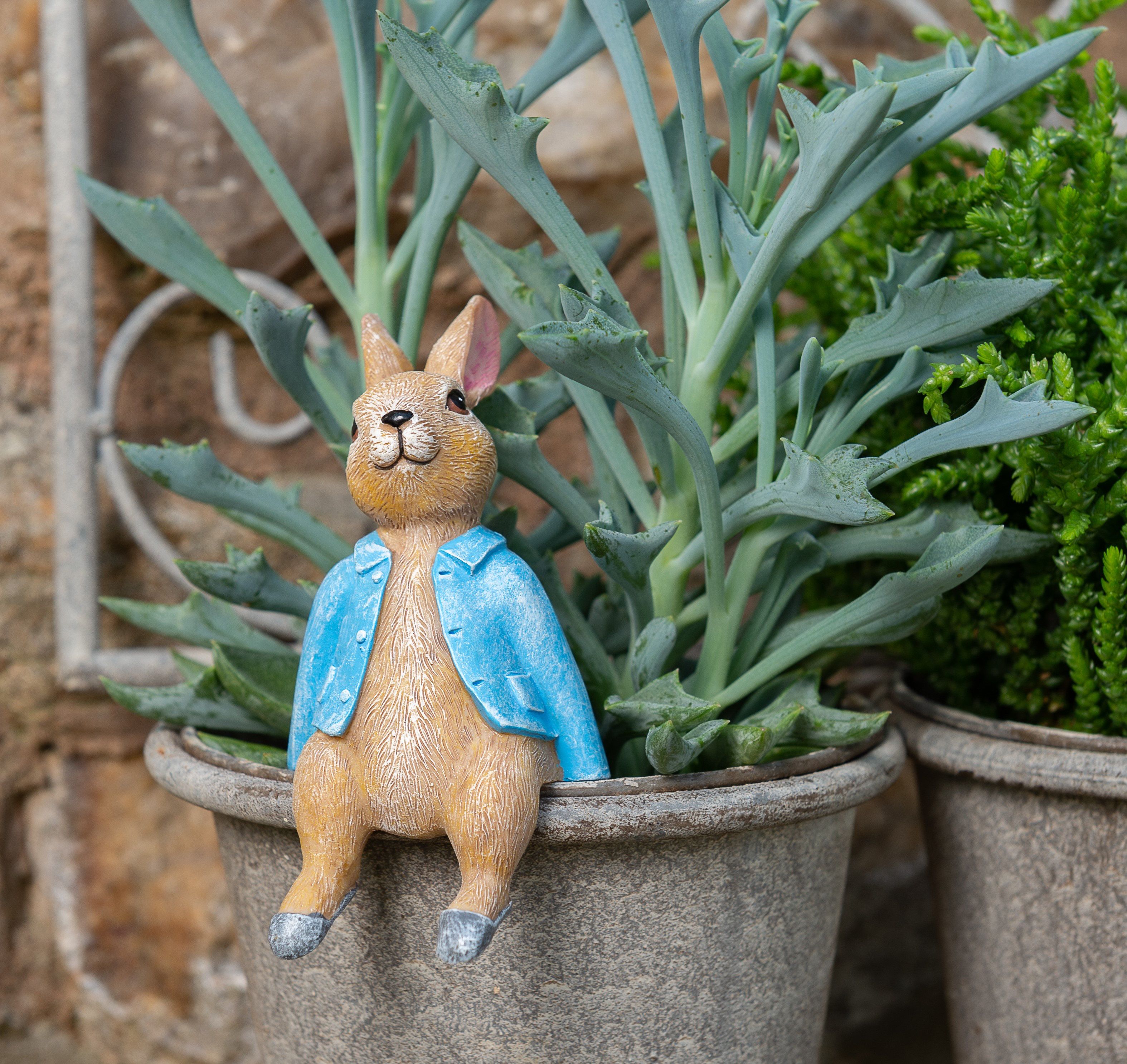 Jardinopia Beatrix Potter Peter Rabbit Sitting on Pot Pot Buddy Pot ...