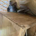 Mercury Row® Valdivia 44" Wide Solid Wood Sideboard & Reviews | Wayfair