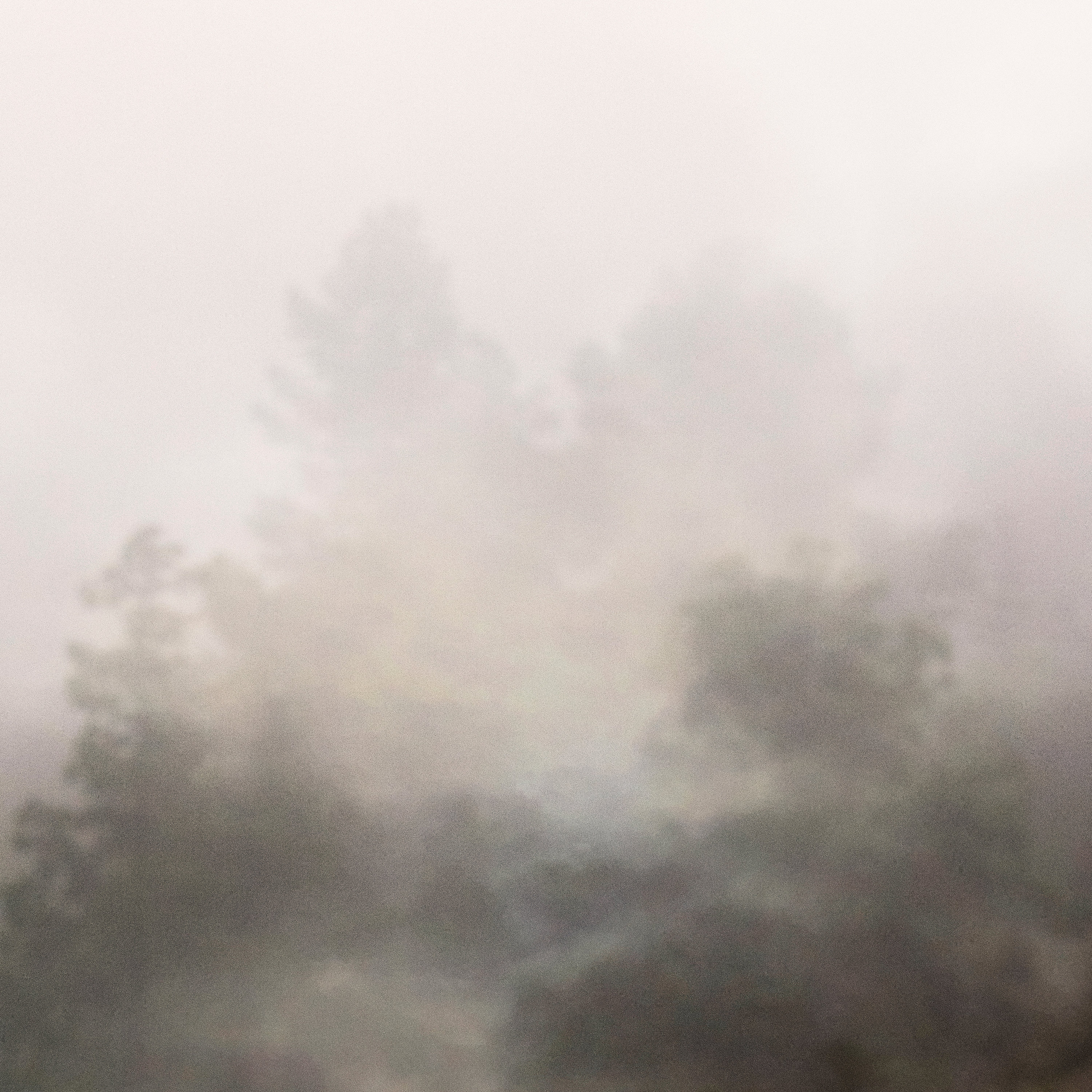 Wrought Studio™ Stortford Early Mist II by Sia Aryai - Wrapped Canvas ...