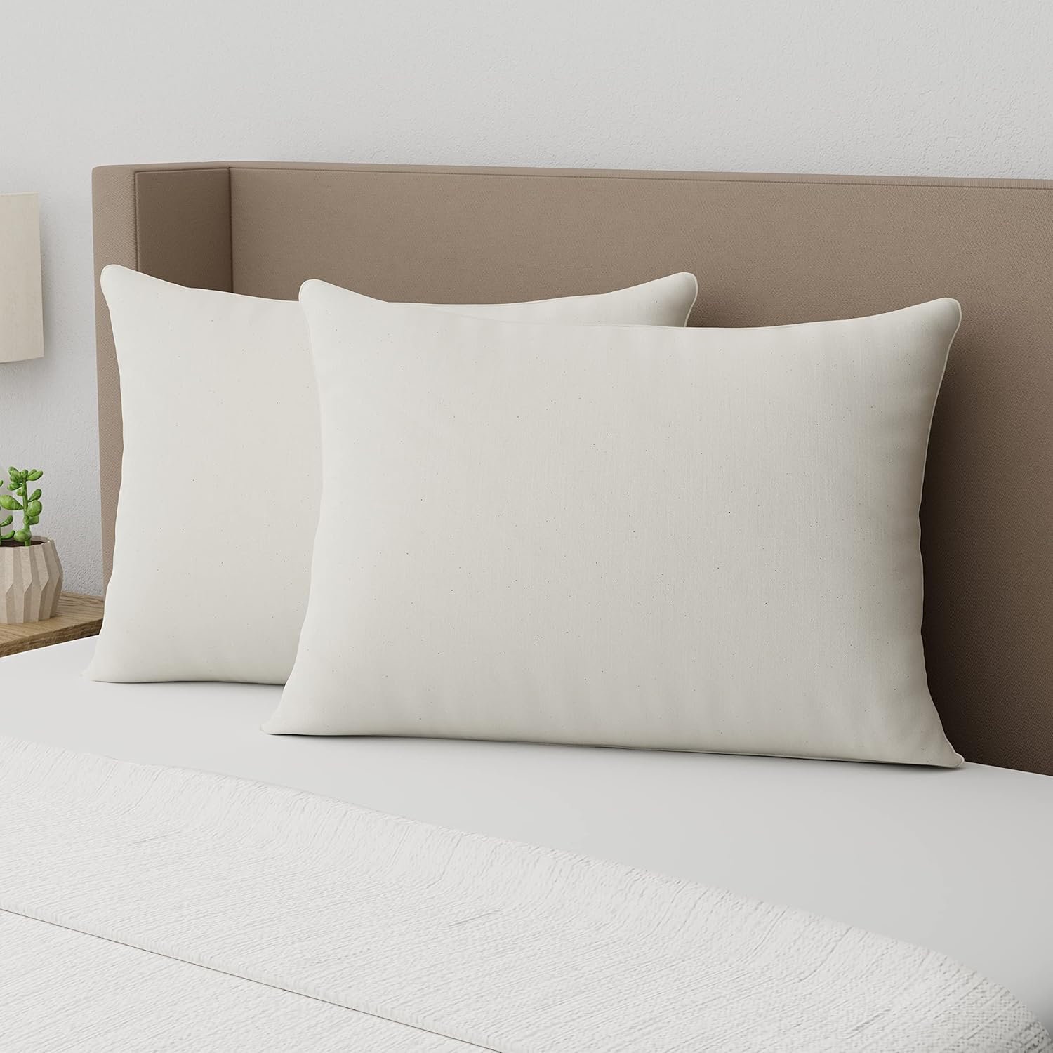 AMIPOR Organically Grown Soft Cotton Odor Neutralizing Allergy Defense ...