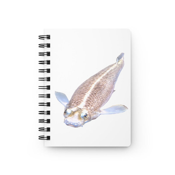Marick Booster Lizard Spiral Bound Journal - Wayfair Canada
