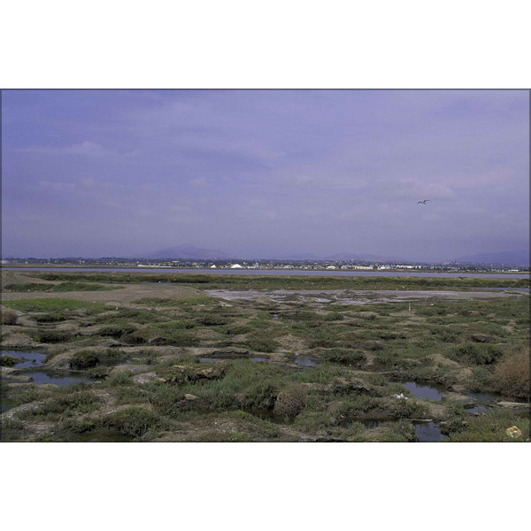 History Galore 24X36 Gallery Poster, Huge Salt Marshes Surrounding San ...