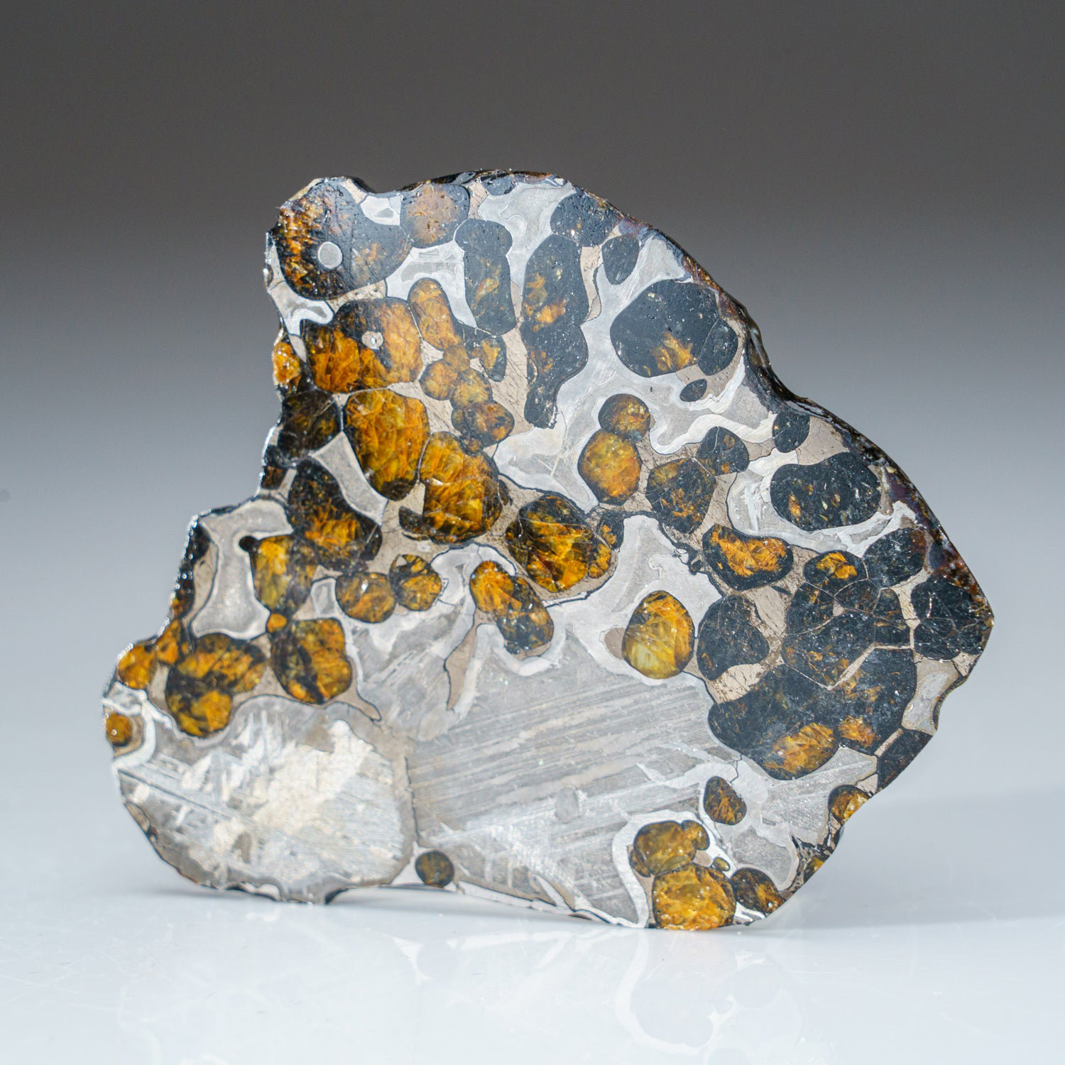 Astro Gallery of Gems Genuine Brenhama Pallasite Meteorite Slice (0.12 ...