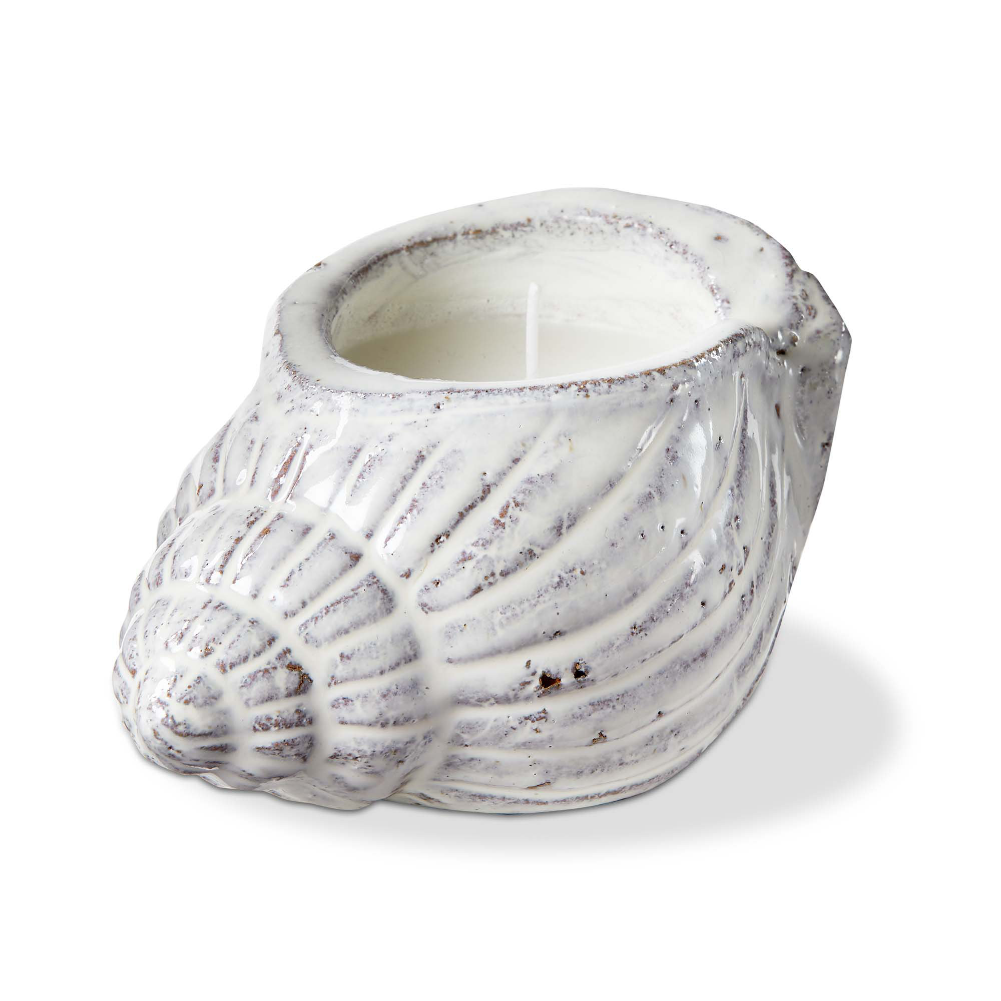 Birch Lane™ White Conch Shell Citronella Candle | Birch Lane