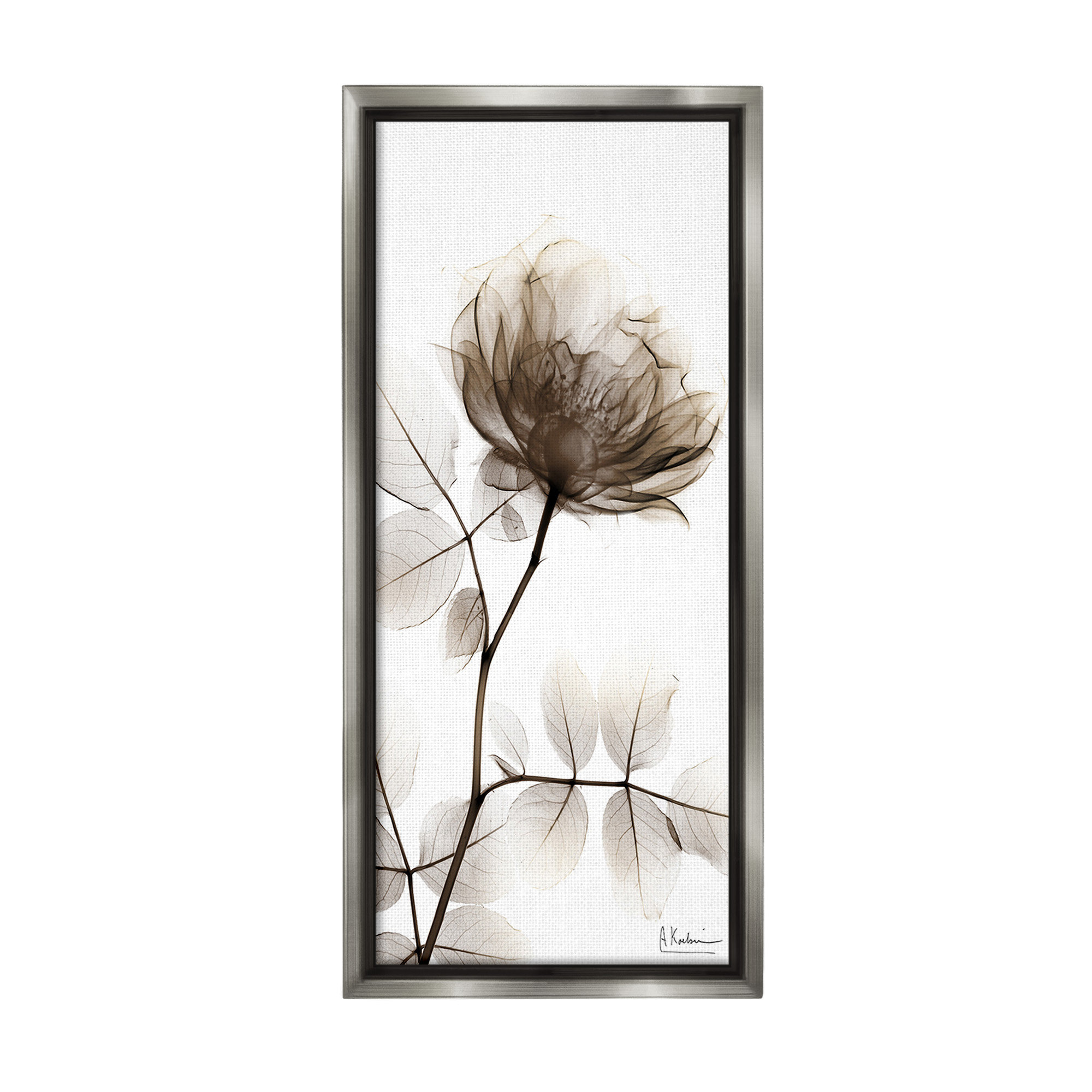 Latitude Run® " Contemporary X-Ray Flower Floater Frame " by Albert ...