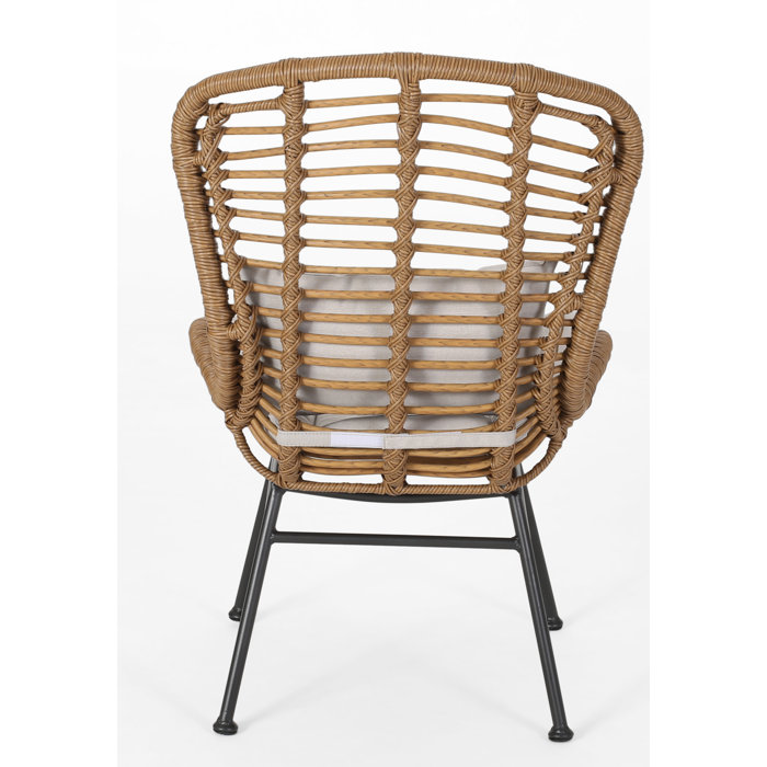 Mistana™ Frazer Faux Rattan Outdoor Armless Lounge Chair & Reviews ...