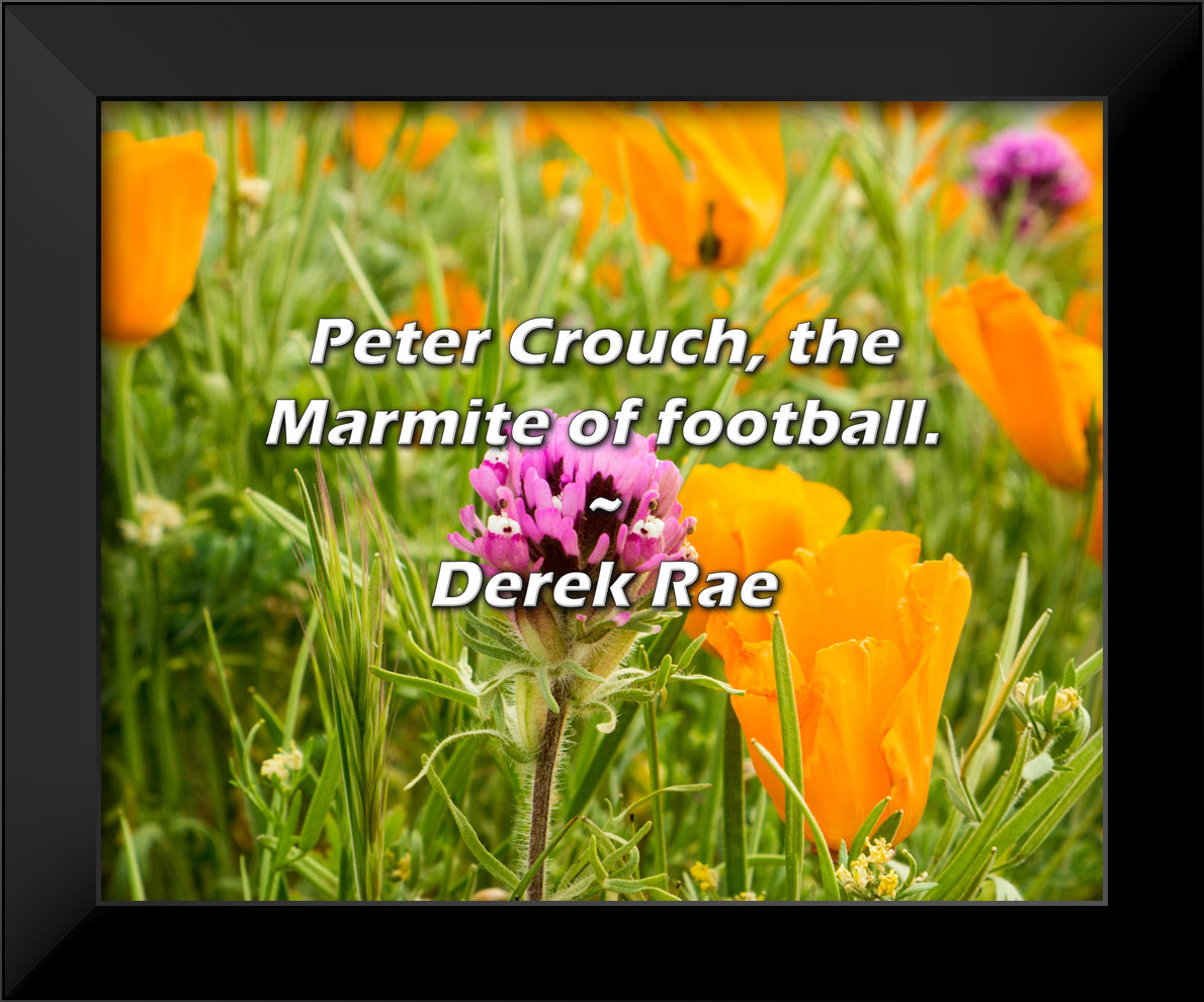 Ivy Bronx Derek Rae Quote: Peter Crouch, the Marmite of football. | Wayfair