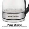 Hamilton Beach Variable Temperature Glass Kettle | Wayfair