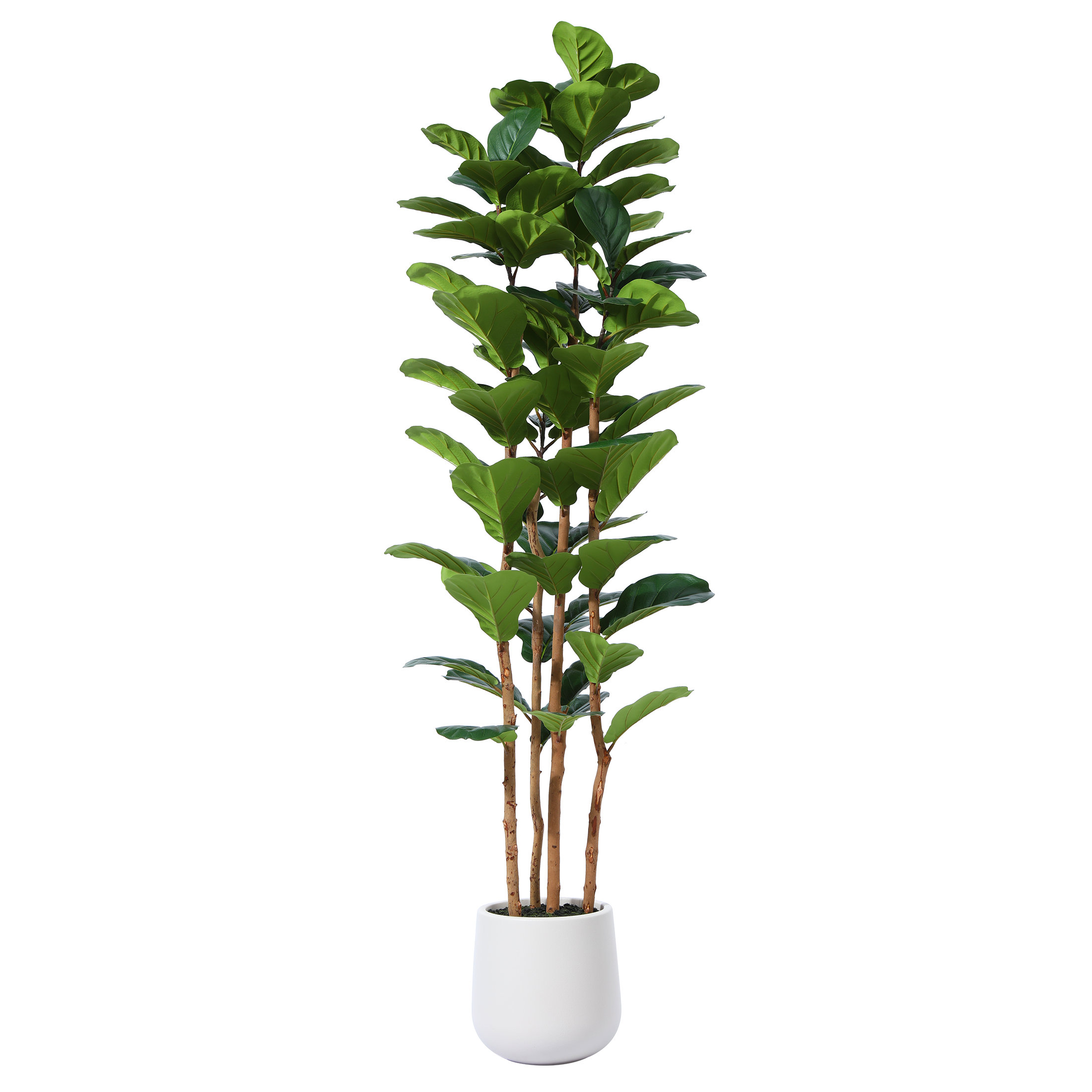 Primrue Adcock Artificial Fiddle Leaf Fig Tree with Realistic Leaves ...