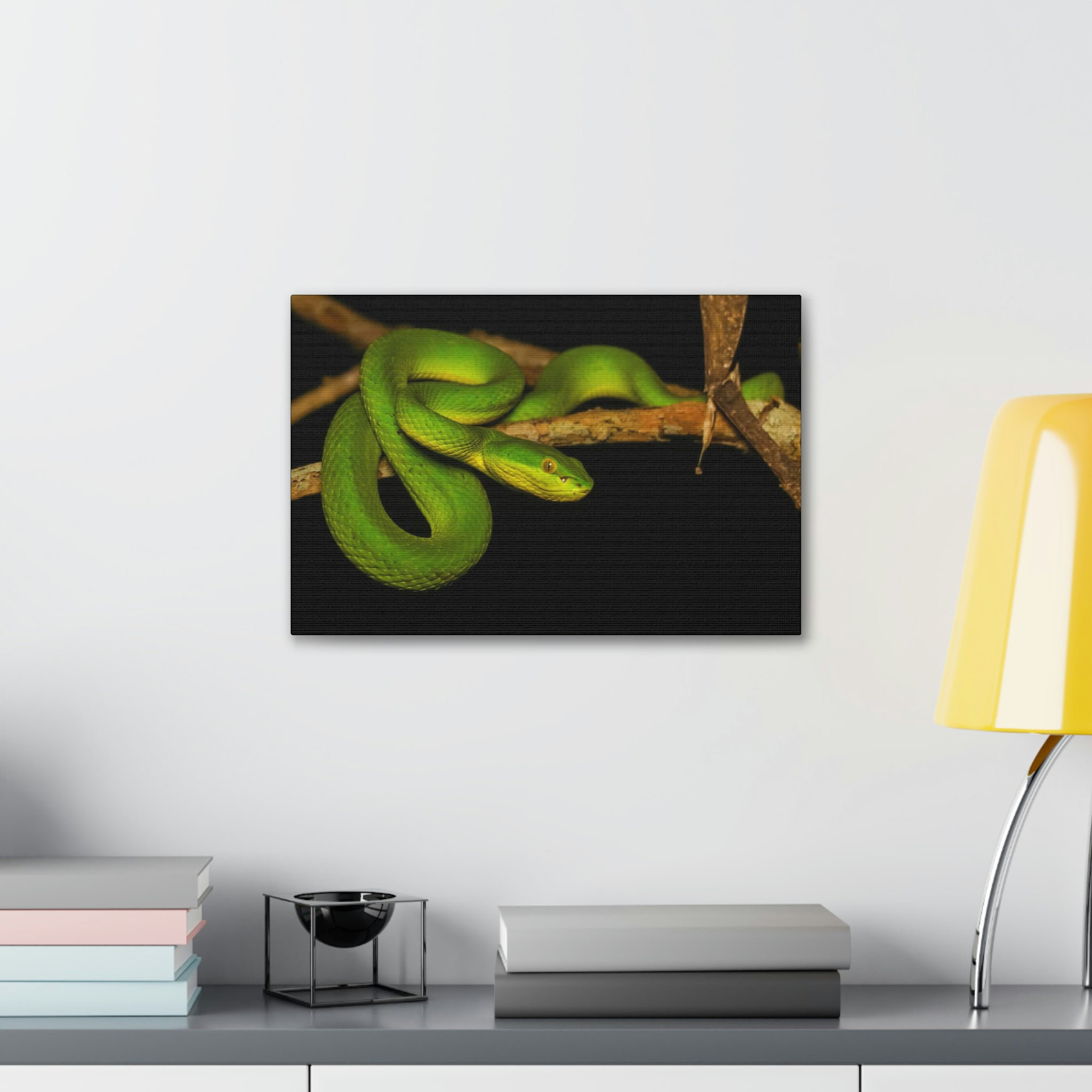 Latitude Run® Viper Hunting Viper on Hunt Print Animal Wall Art | Wayfair