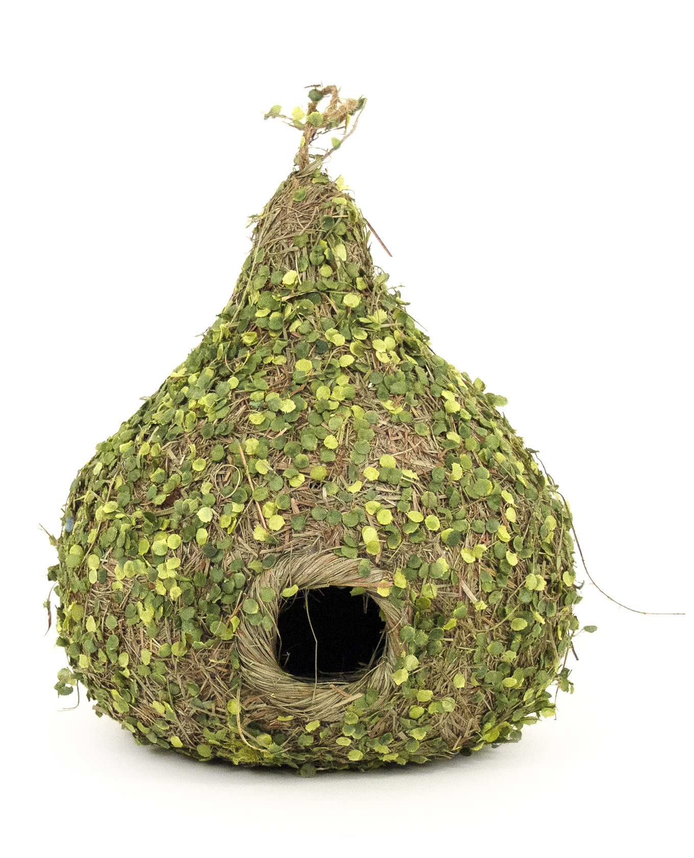 August Grove® Coldwell Bird Nest Hanger | Wayfair